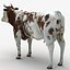 Dugm02 Cow 3d Max