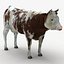 Dugm02 Cow 3d Max