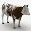 Dugm02 Cow 3d Max