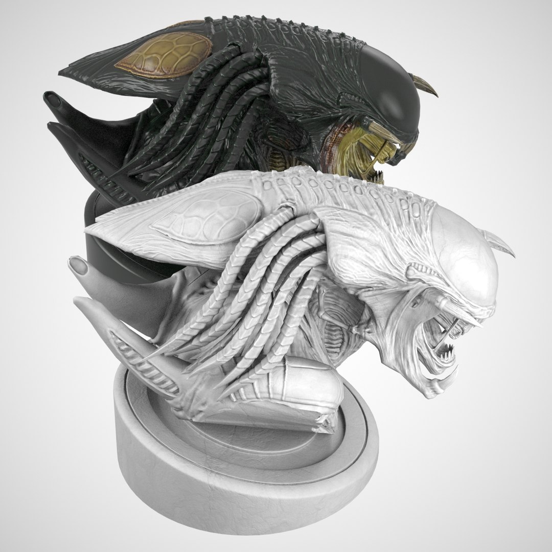3d model predalien bust