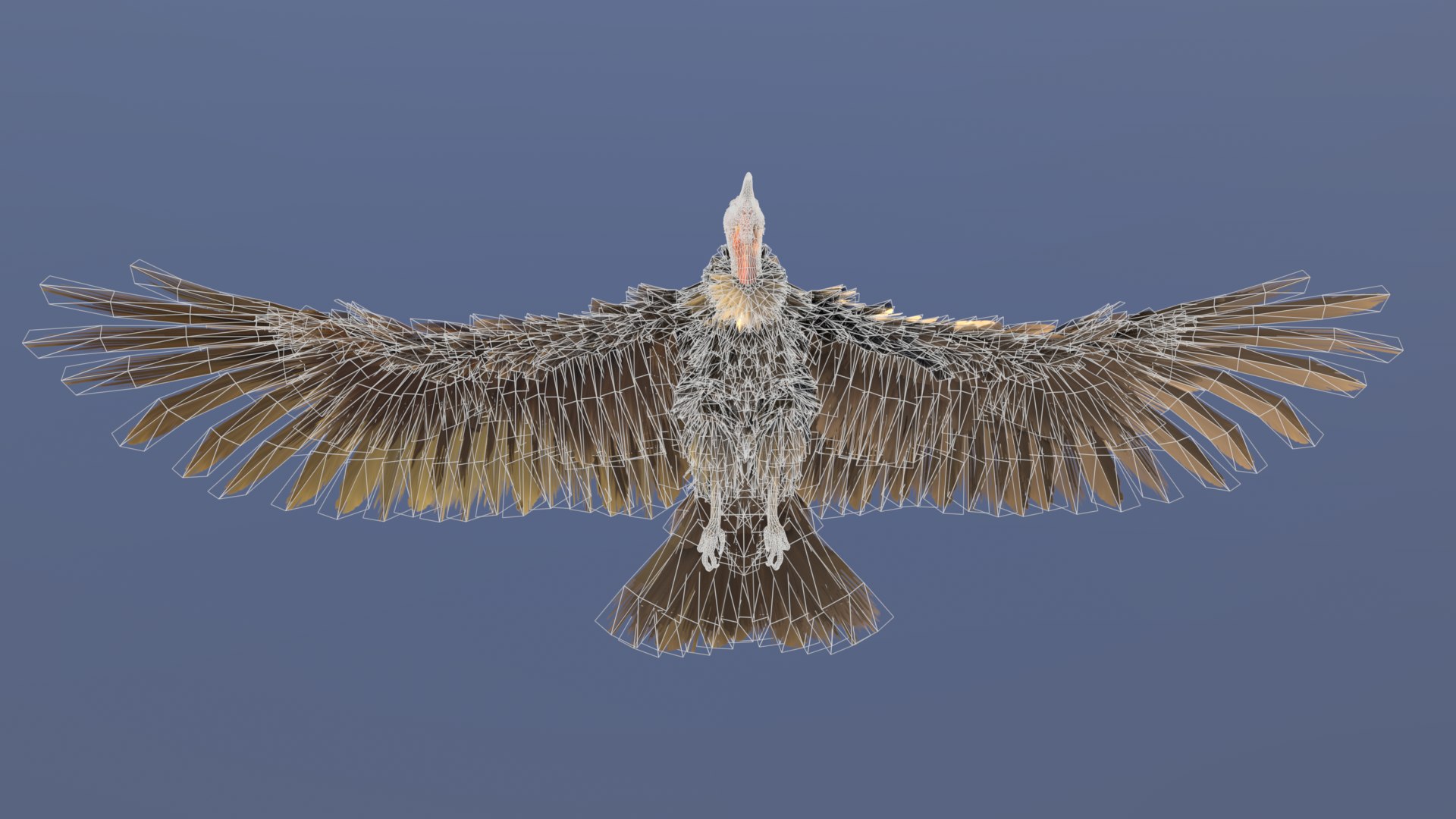 3D Hooded Vulture Rigged Animated - TurboSquid 2296058