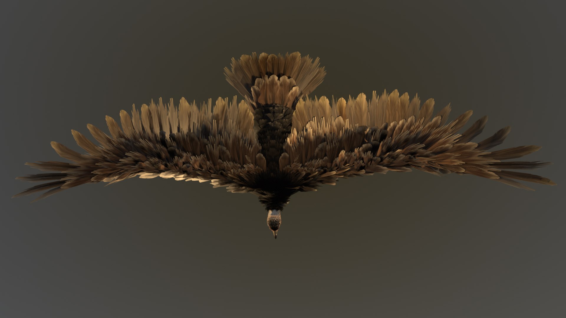 3D Hooded Vulture Rigged Animated - TurboSquid 2296058