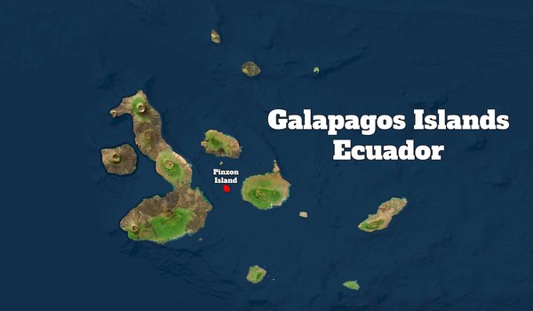 modelo 3d Pinzon Island Galapagos Islands - TurboSquid 2066666
