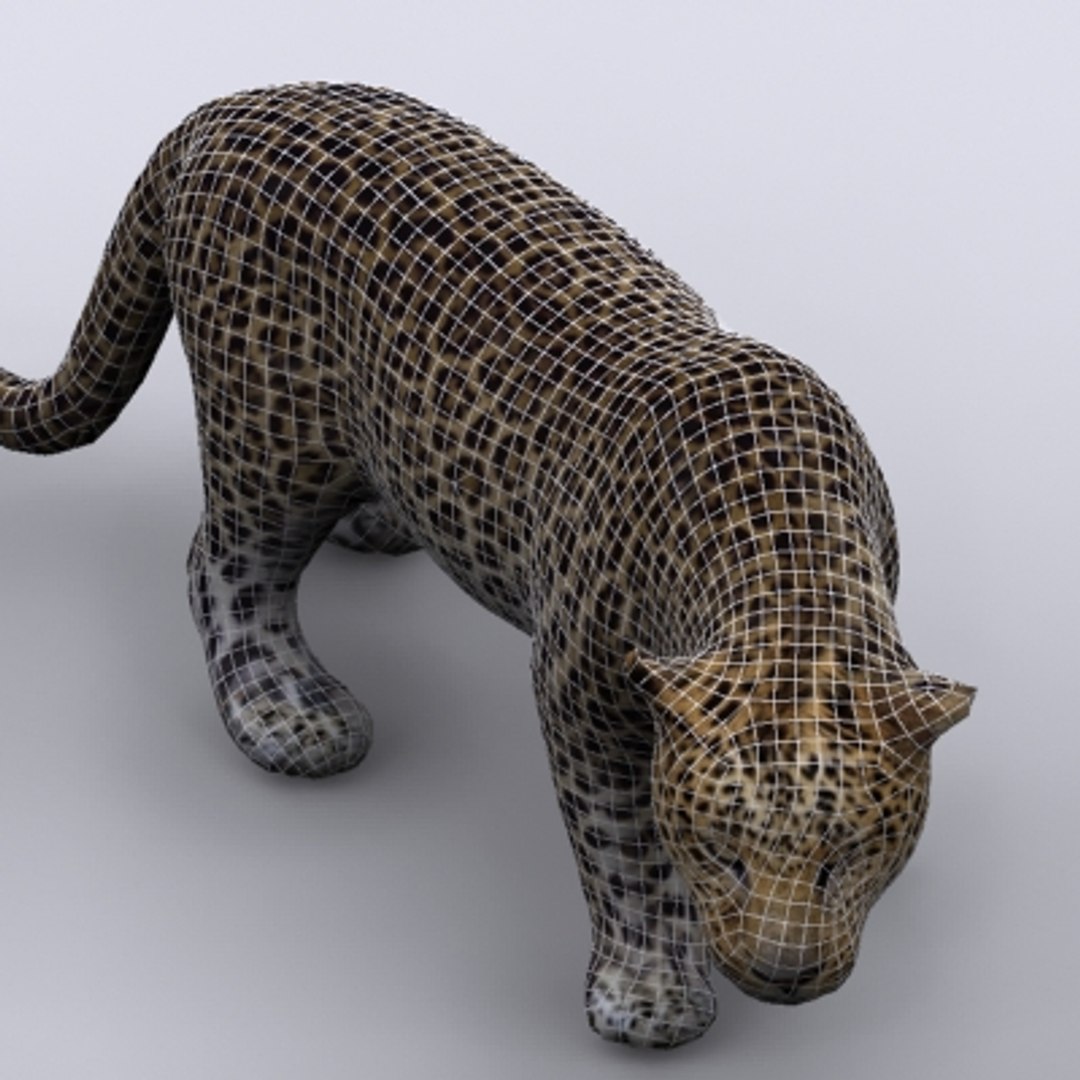 Cat Feline 3d Max