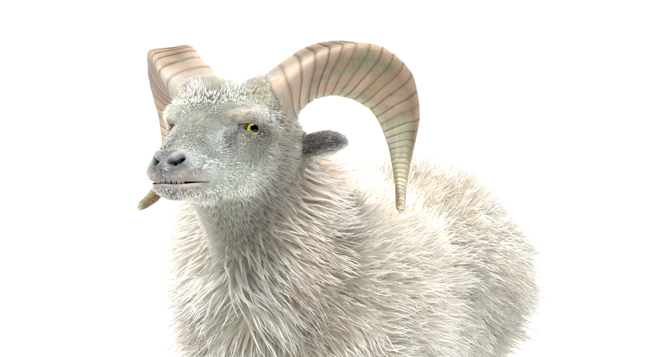 3D ram ovis ammon - TurboSquid 1158302