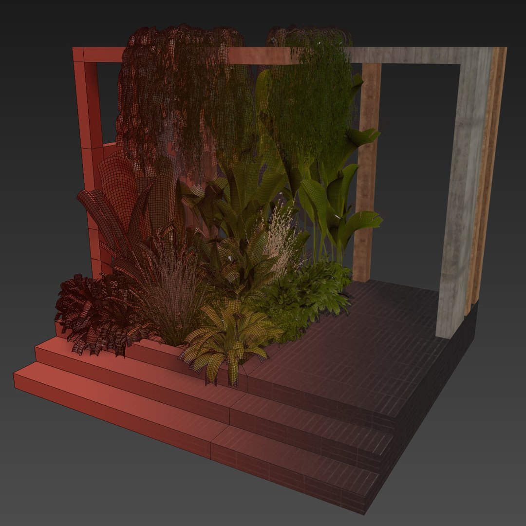 Collection plant vol 538 - garden - ivy - backyard - Landscape Design ...