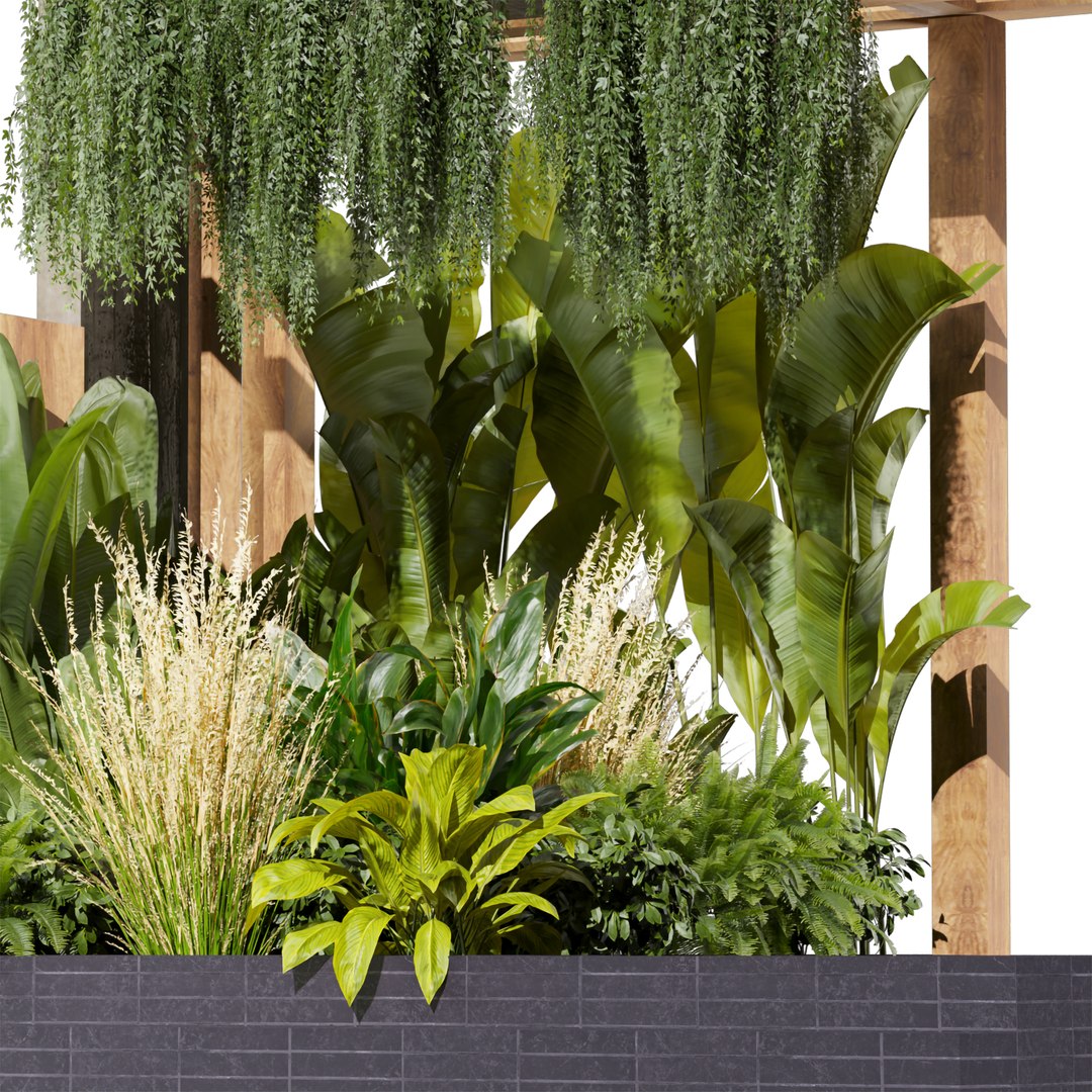 Collection Plant Vol 538 - Garden - Ivy - Backyard - Landscape Design ...