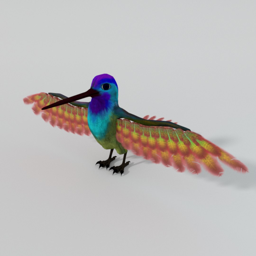 Hummingbird Color 3D Model - TurboSquid 1316789