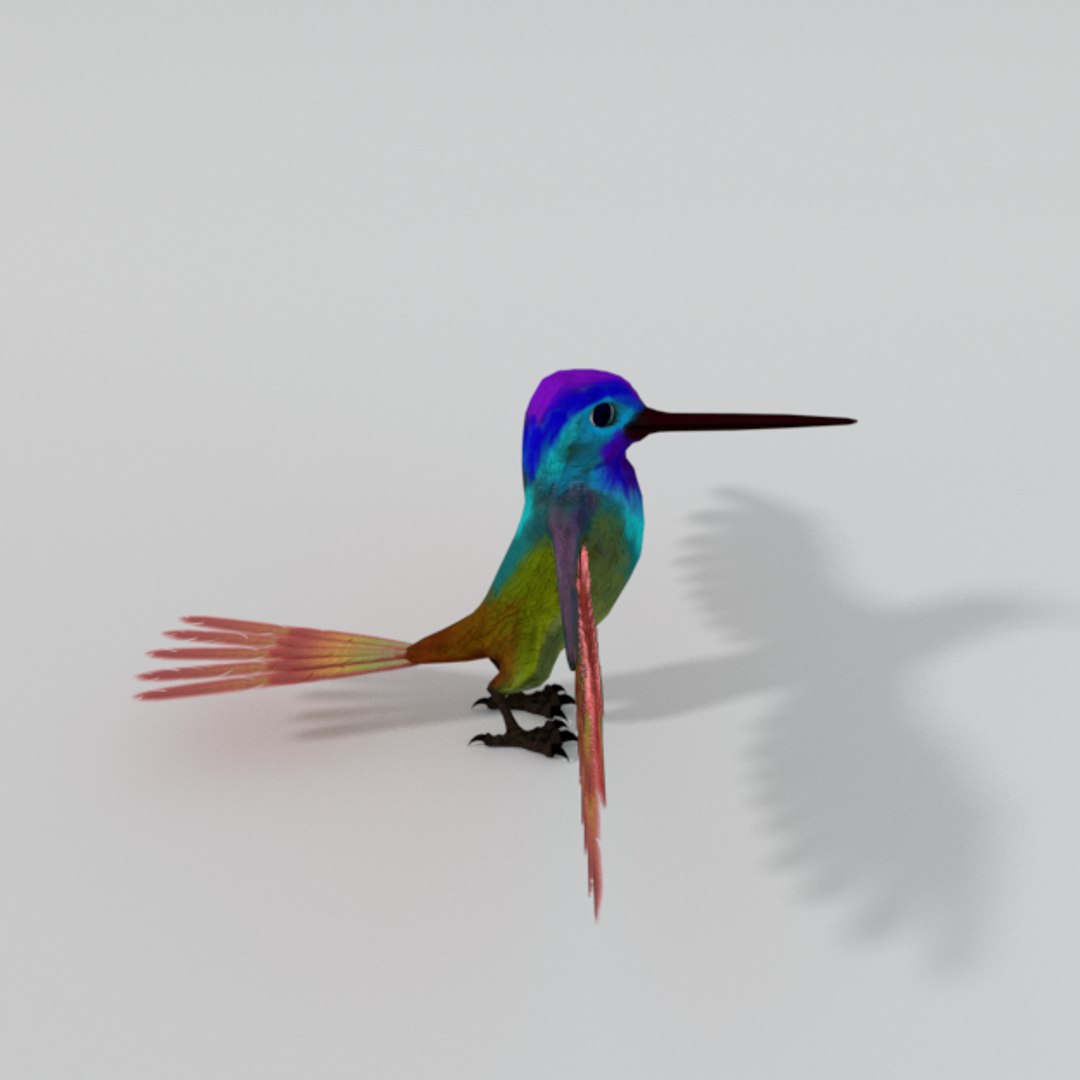 Hummingbird Color 3D Model - TurboSquid 1316789