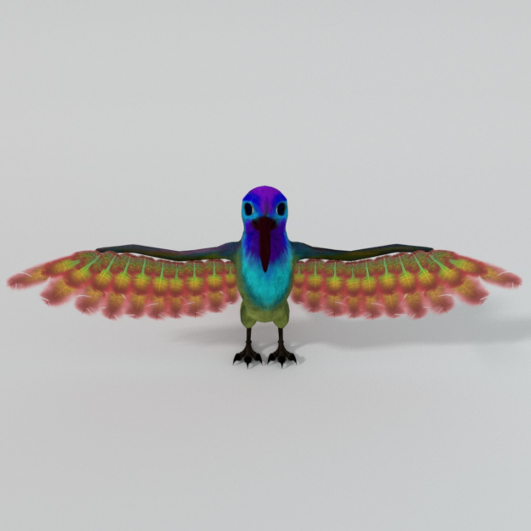 Hummingbird Color 3D Model - TurboSquid 1316789