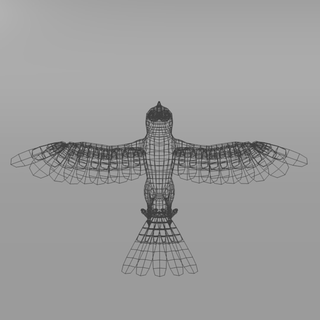 Hummingbird Color 3D Model - TurboSquid 1316789