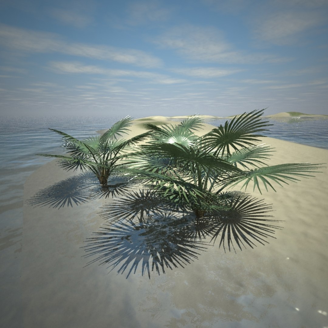 Palm Tree 3d Obj