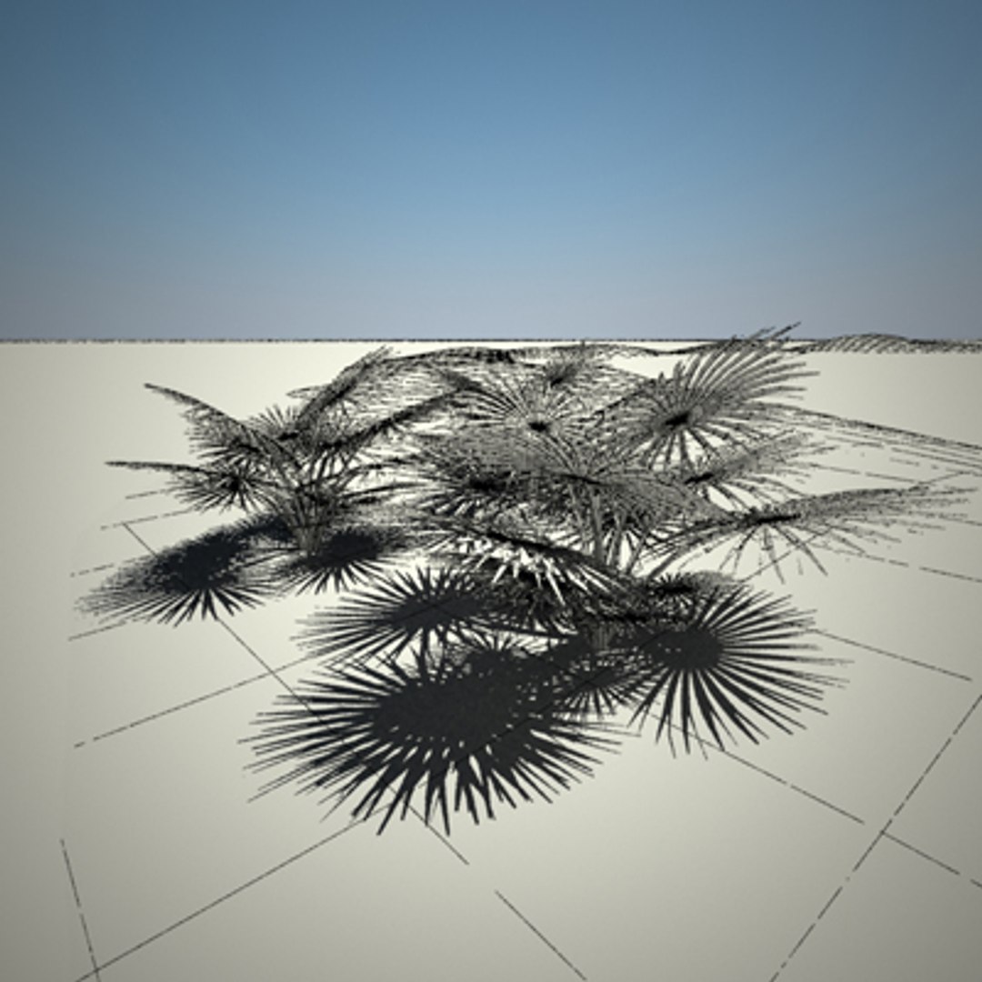 Palm Tree 3d Obj