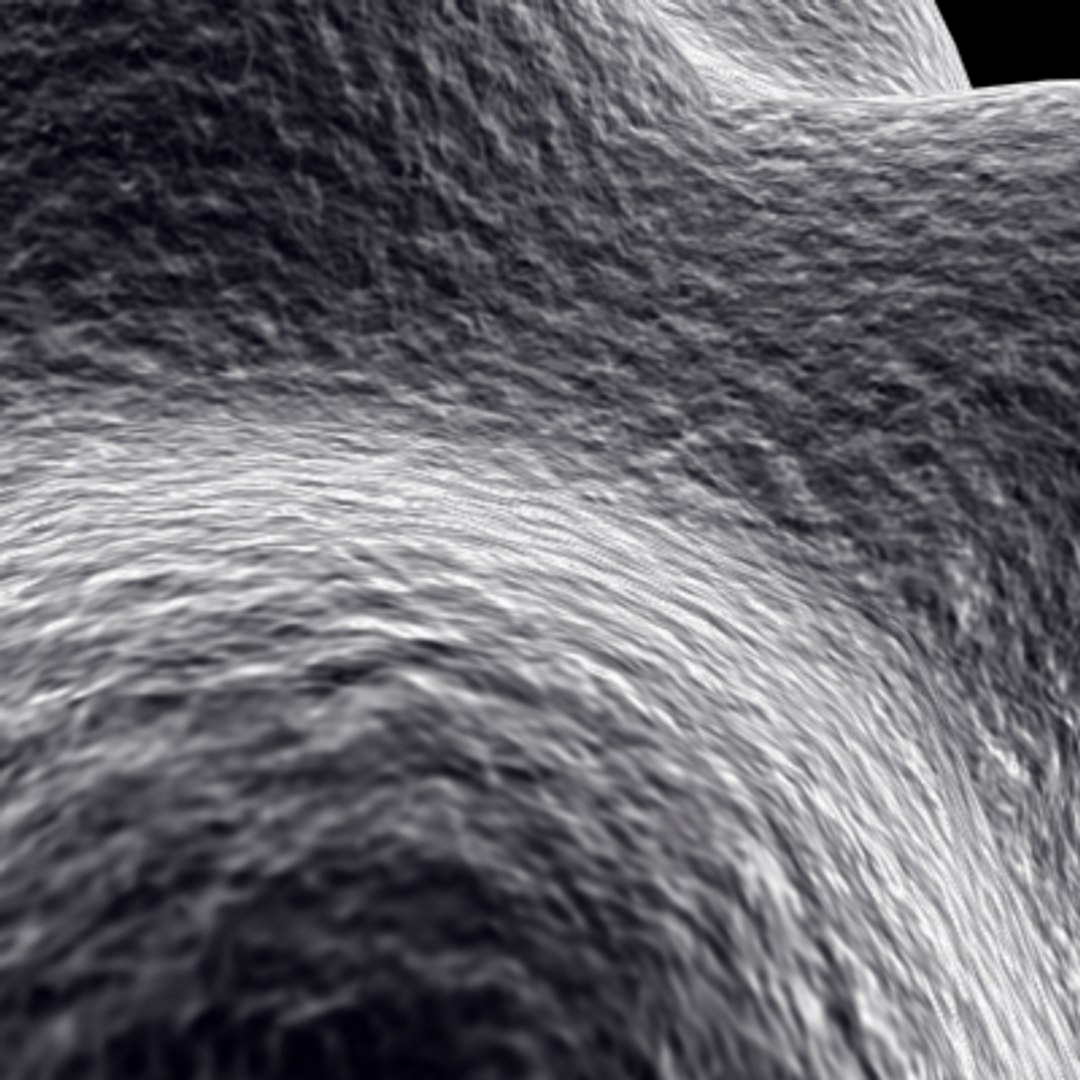 3d Model Microscopic Pollen