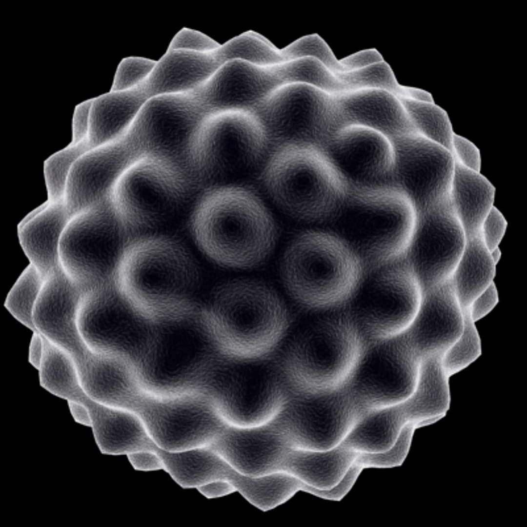 3d Model Microscopic Pollen