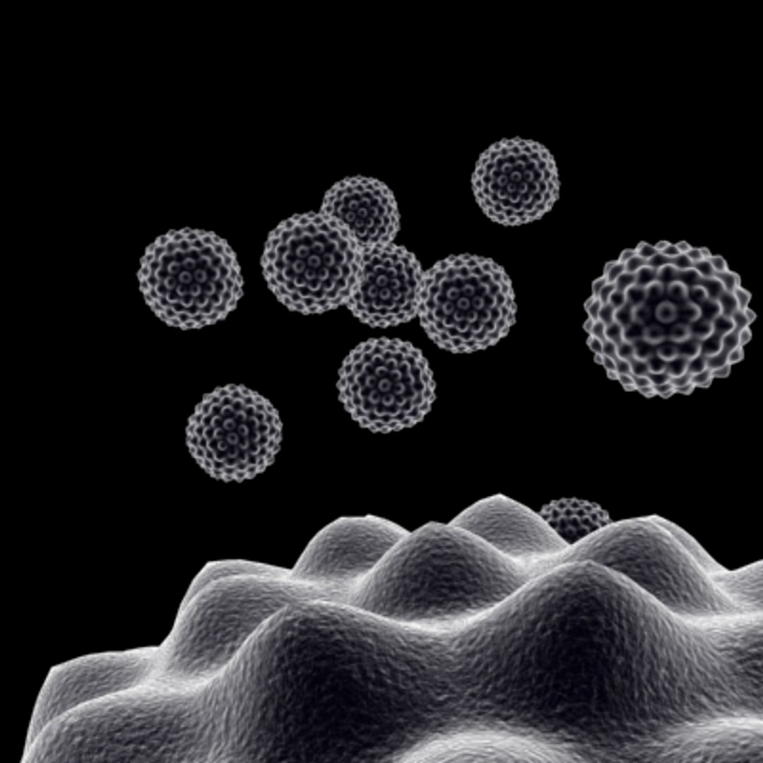 3d Model Microscopic Pollen