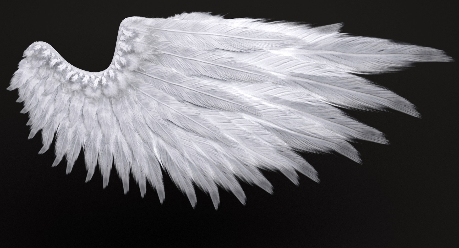 3D Realistic Wings - TurboSquid 1282094