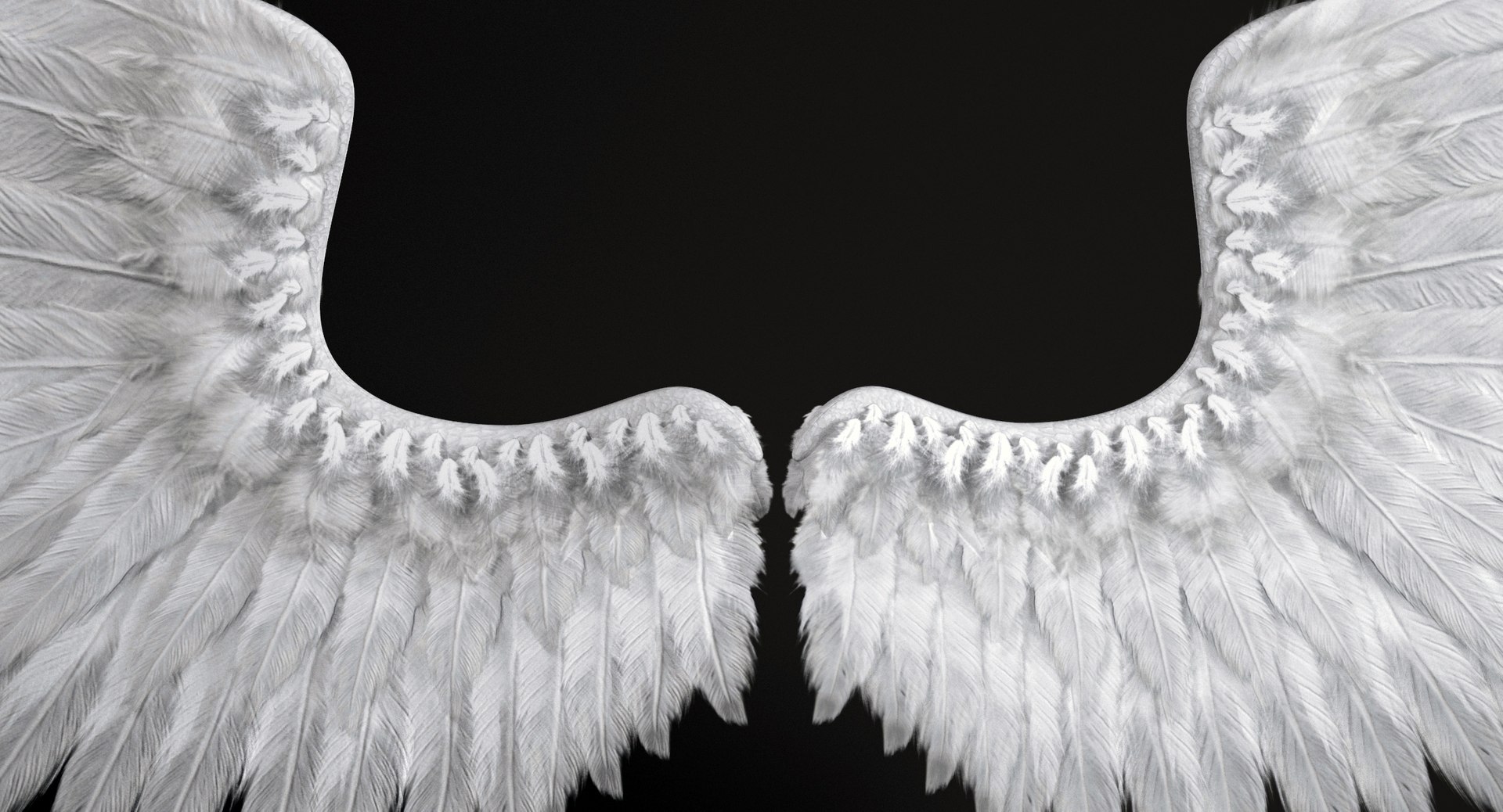 3D Realistic Wings - TurboSquid 1282094