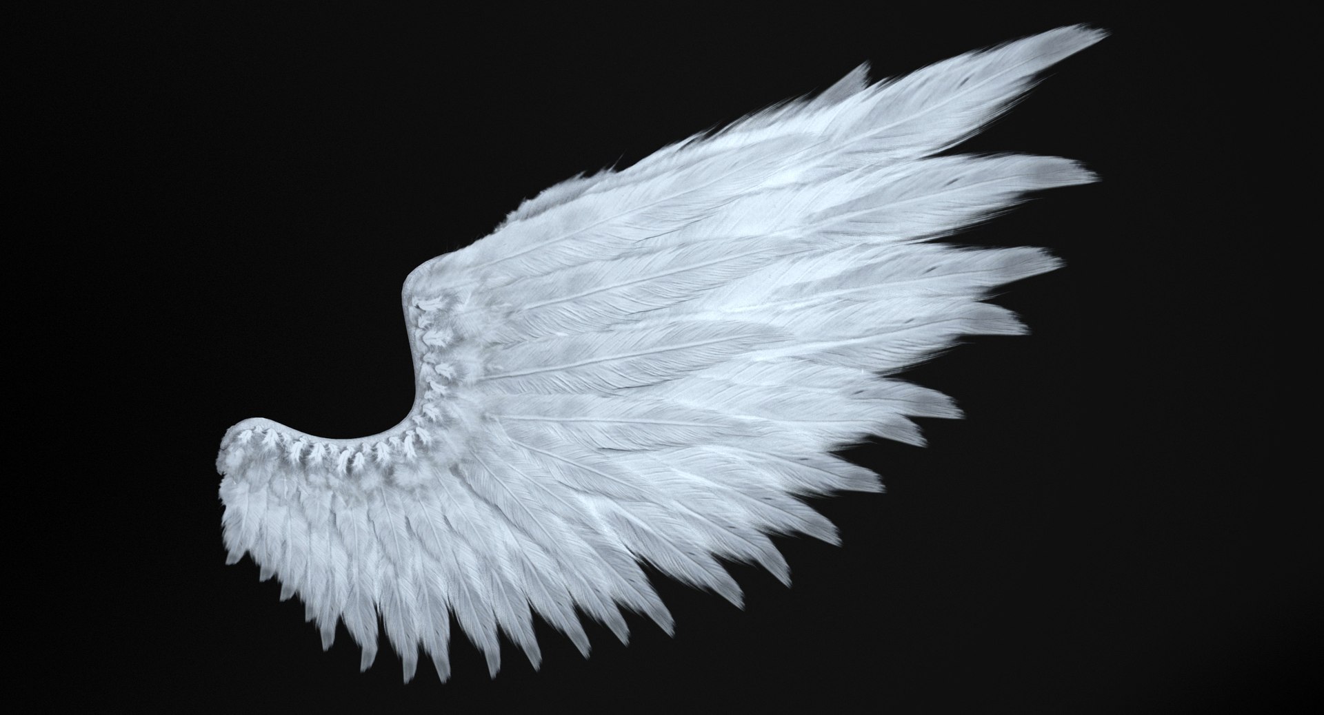 3D Realistic Wings - TurboSquid 1282094