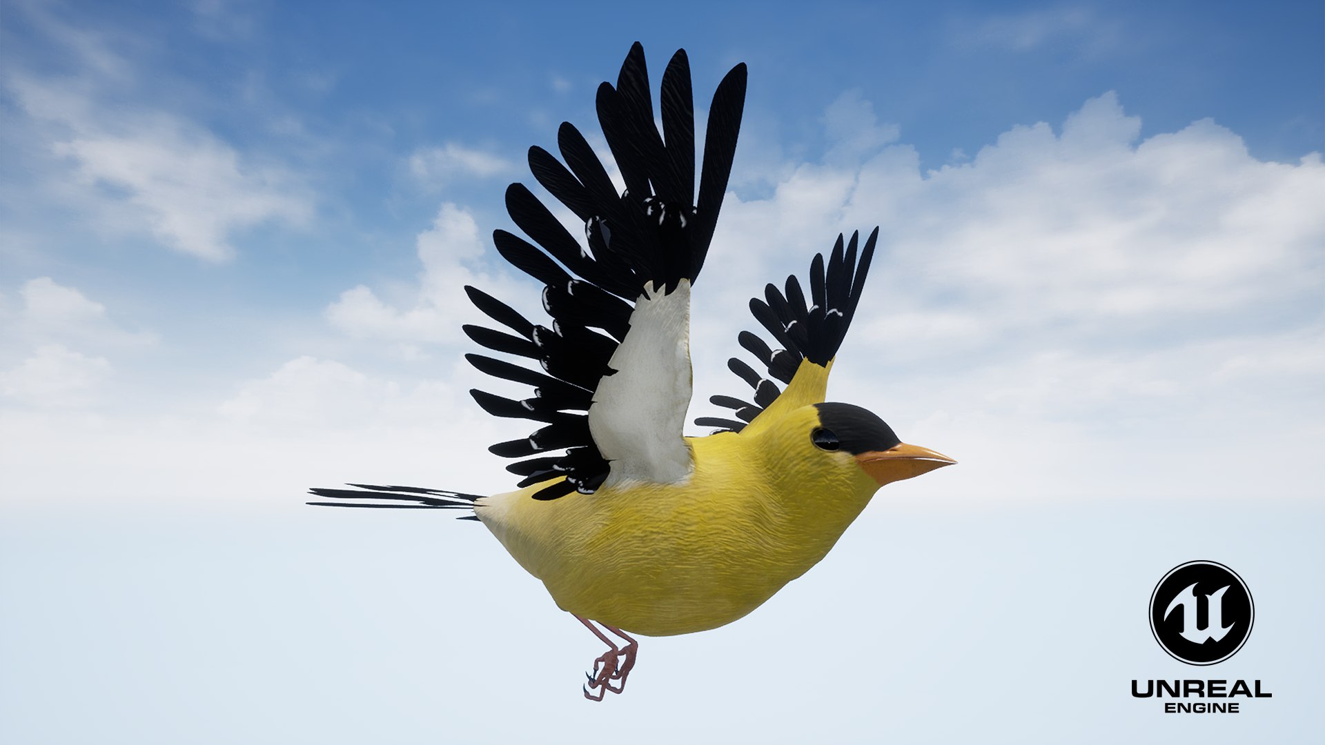 Goldfinch Animated 3D - TurboSquid 2122671