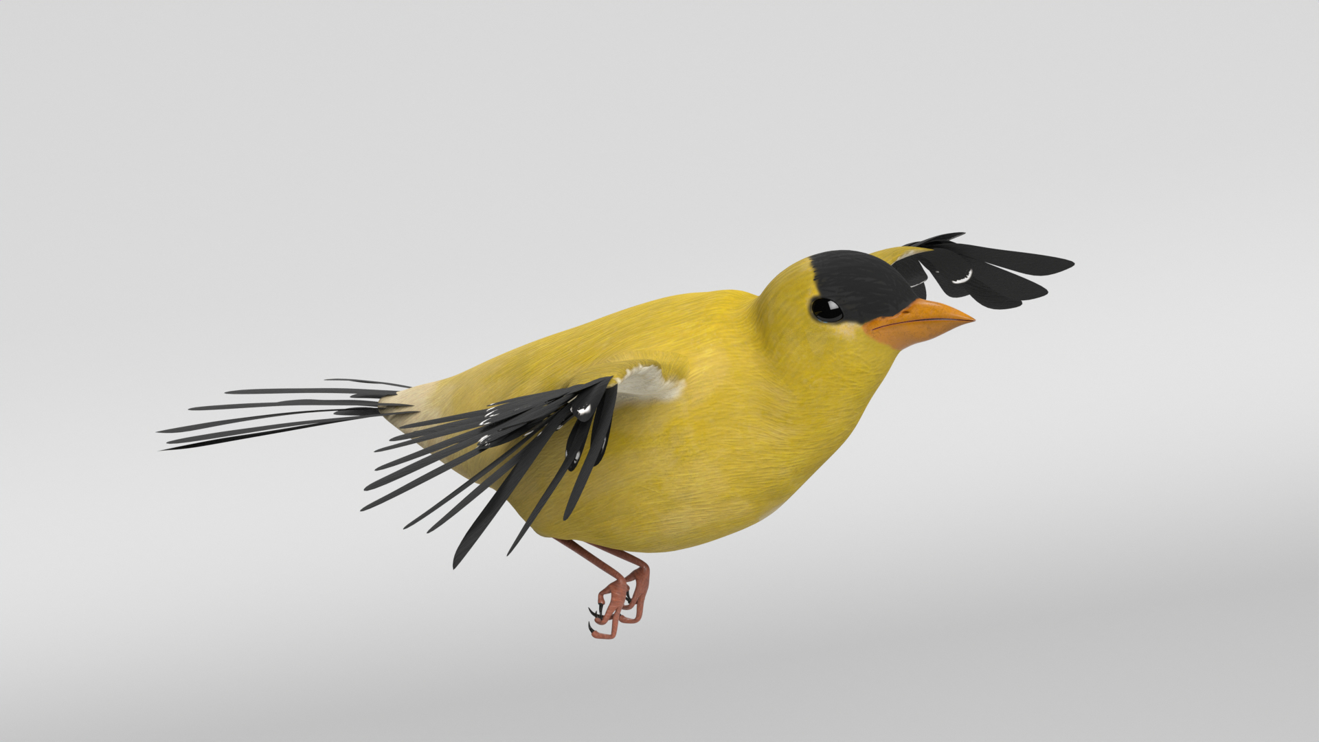Goldfinch Animated 3D - TurboSquid 2122671