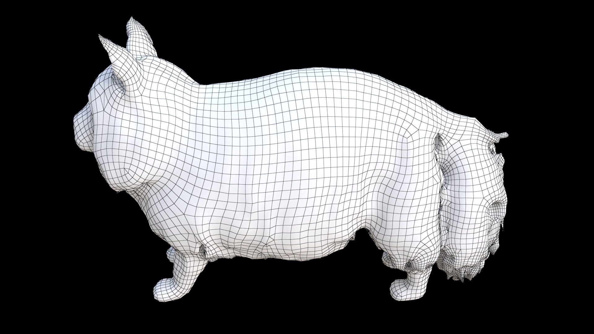 3D Maine Coon Model - TurboSquid 2334354