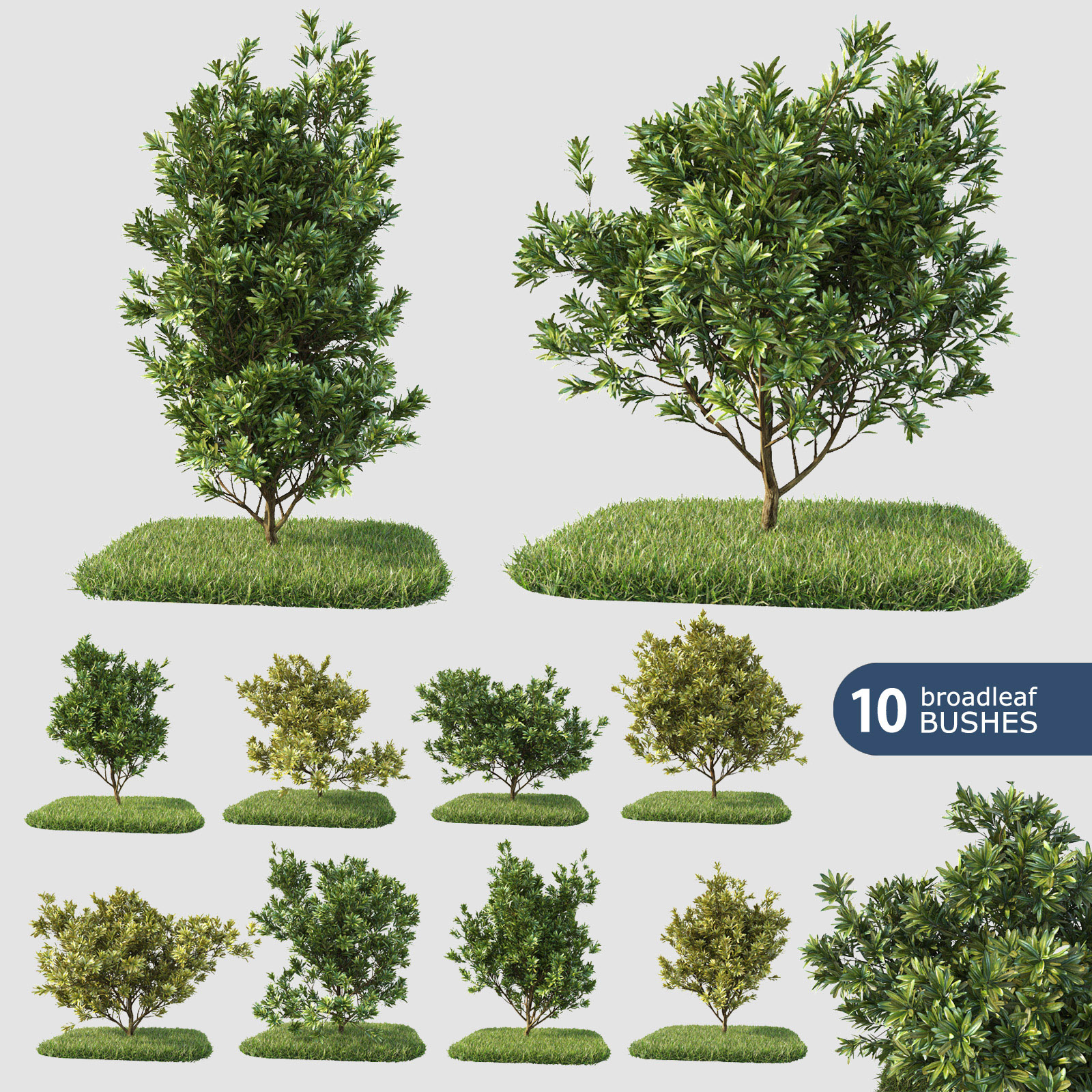 Bushes 3D model - TurboSquid 1343055