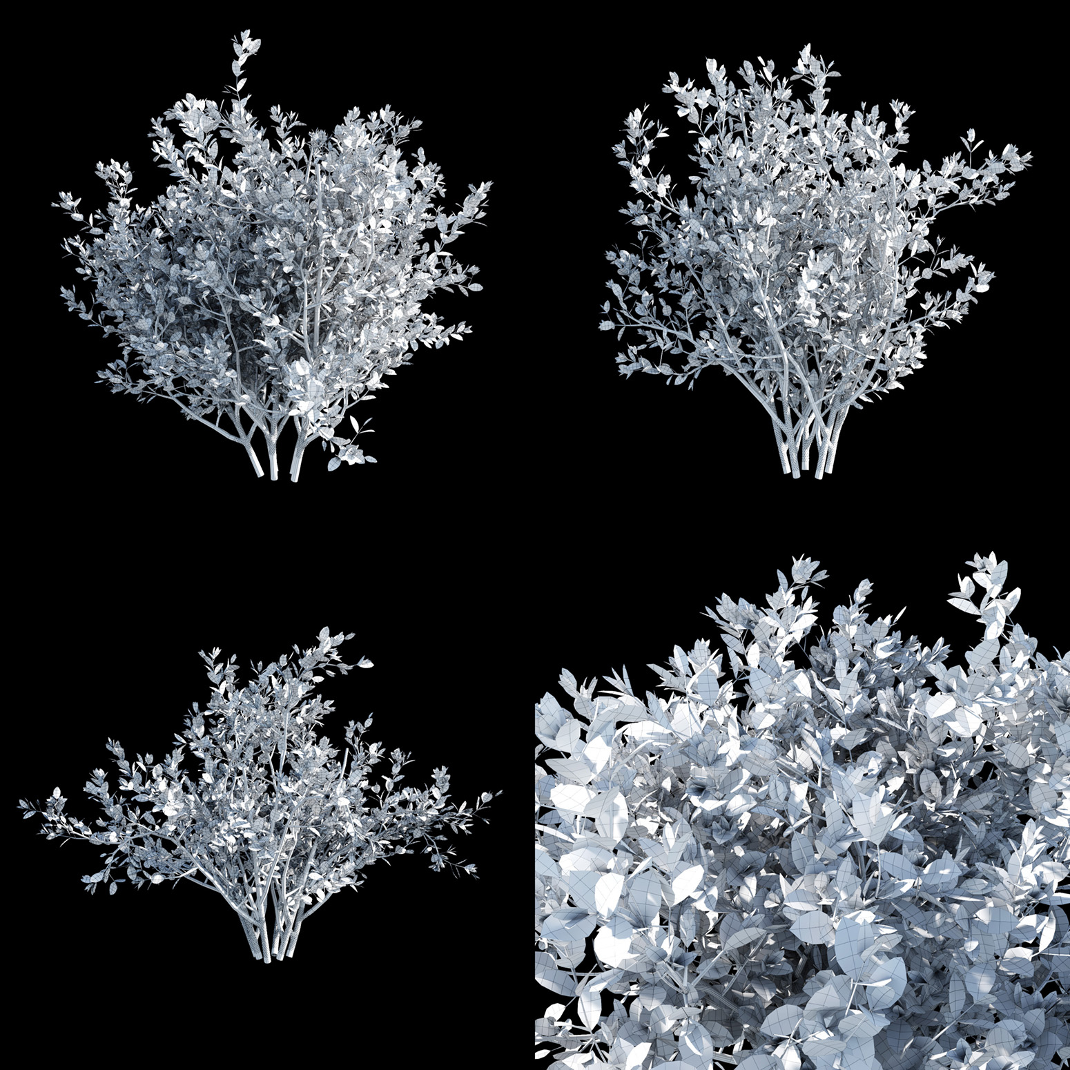 Bushes 3D model - TurboSquid 1343055