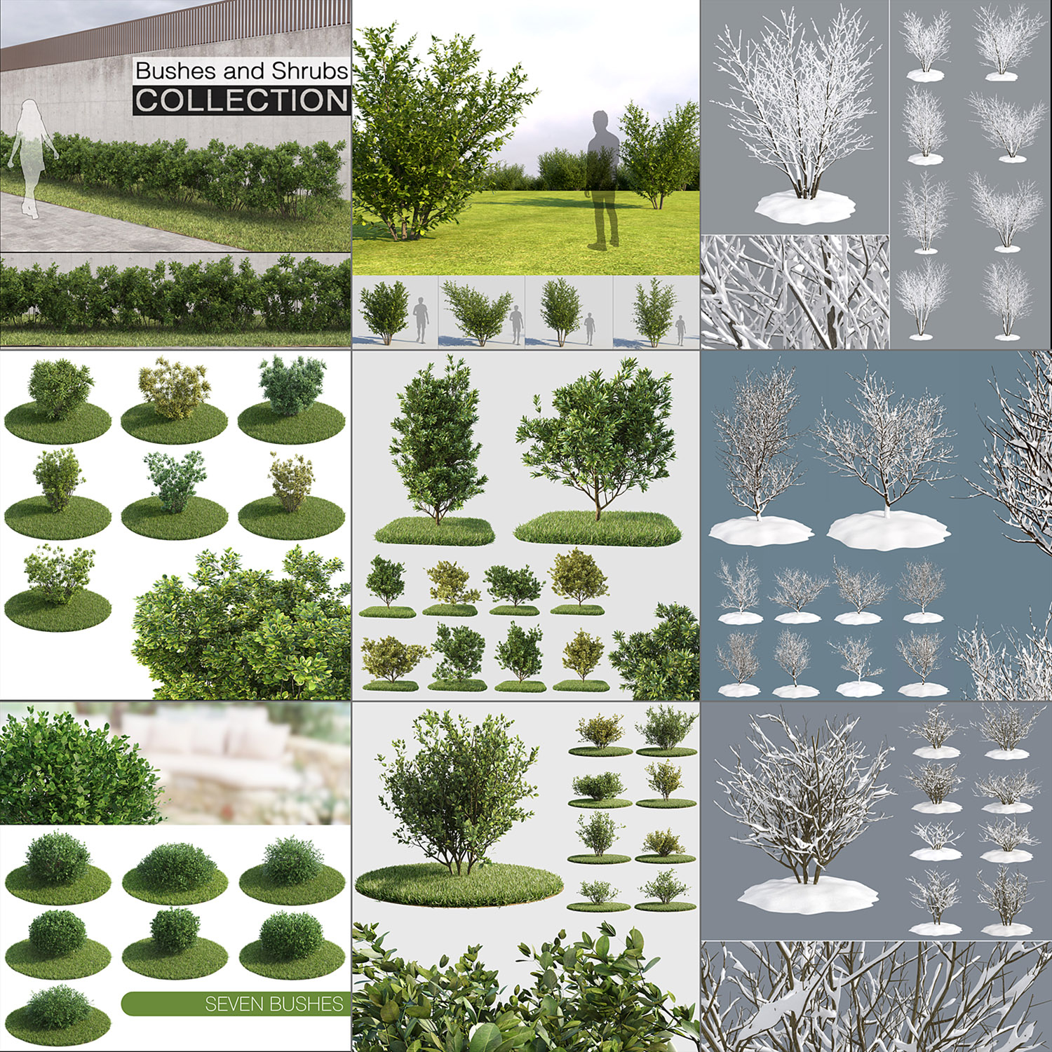 Bushes 3D model - TurboSquid 1343055
