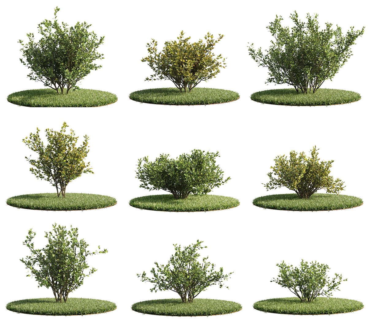 Bushes 3D Model - TurboSquid 1343055