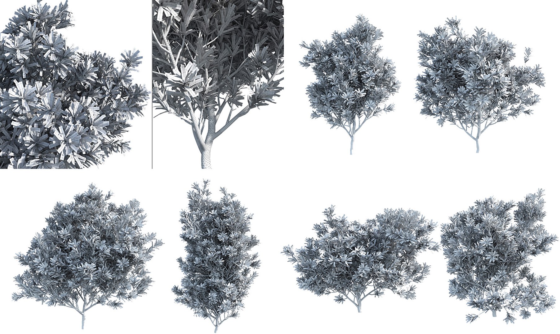 Bushes 3D Model - TurboSquid 1343055