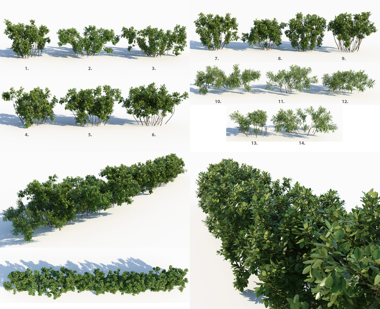 Bushes 3D model - TurboSquid 1343055
