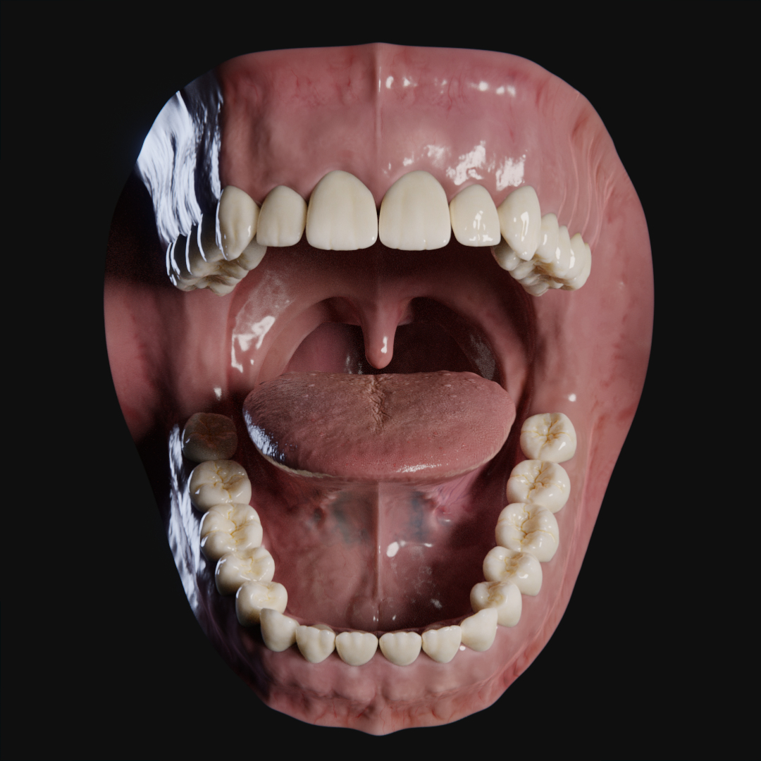 3D human mouth teeth model - TurboSquid 1278134