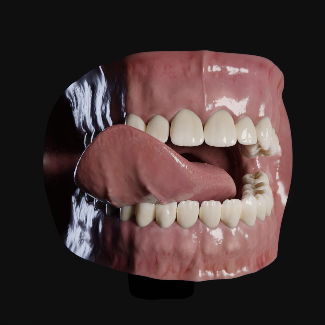 3D human mouth teeth model - TurboSquid 1278134