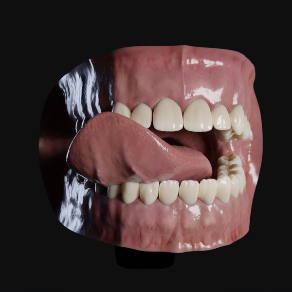 3D human mouth teeth model - TurboSquid 1278134