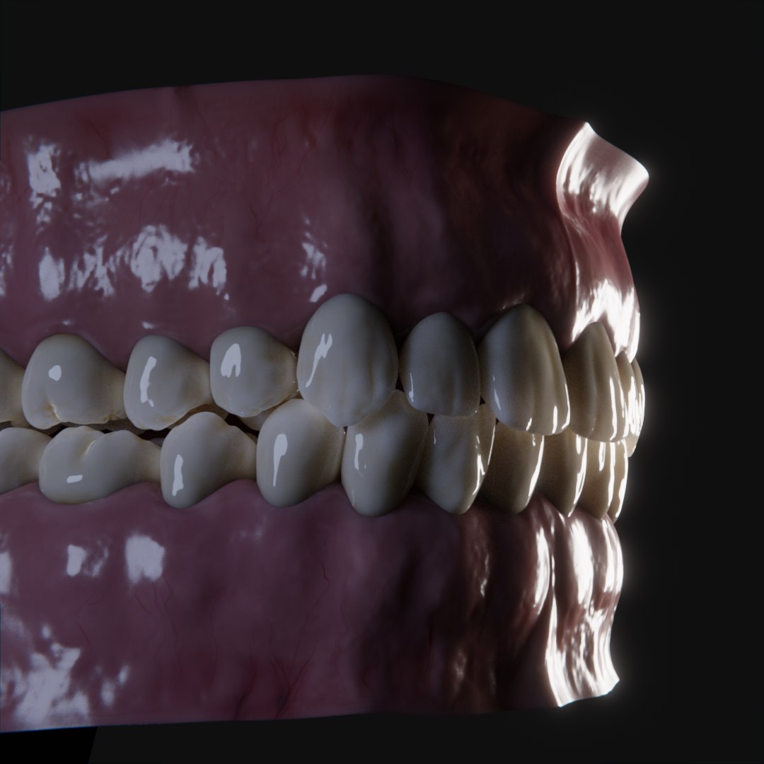3D human mouth teeth model - TurboSquid 1278134