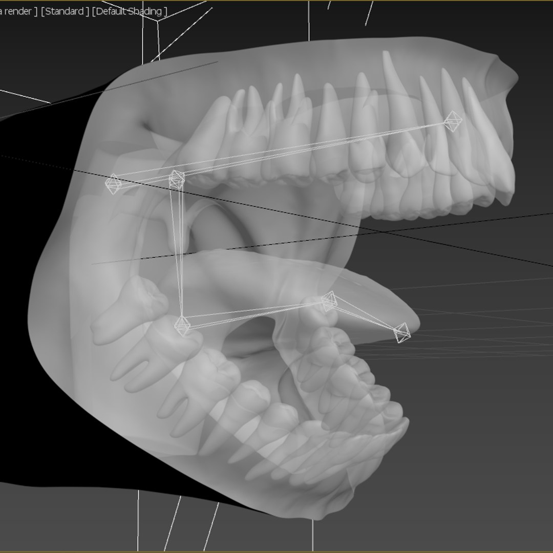 3D human mouth teeth model - TurboSquid 1278134