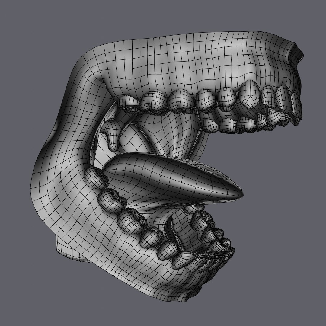 3D human mouth teeth model - TurboSquid 1278134