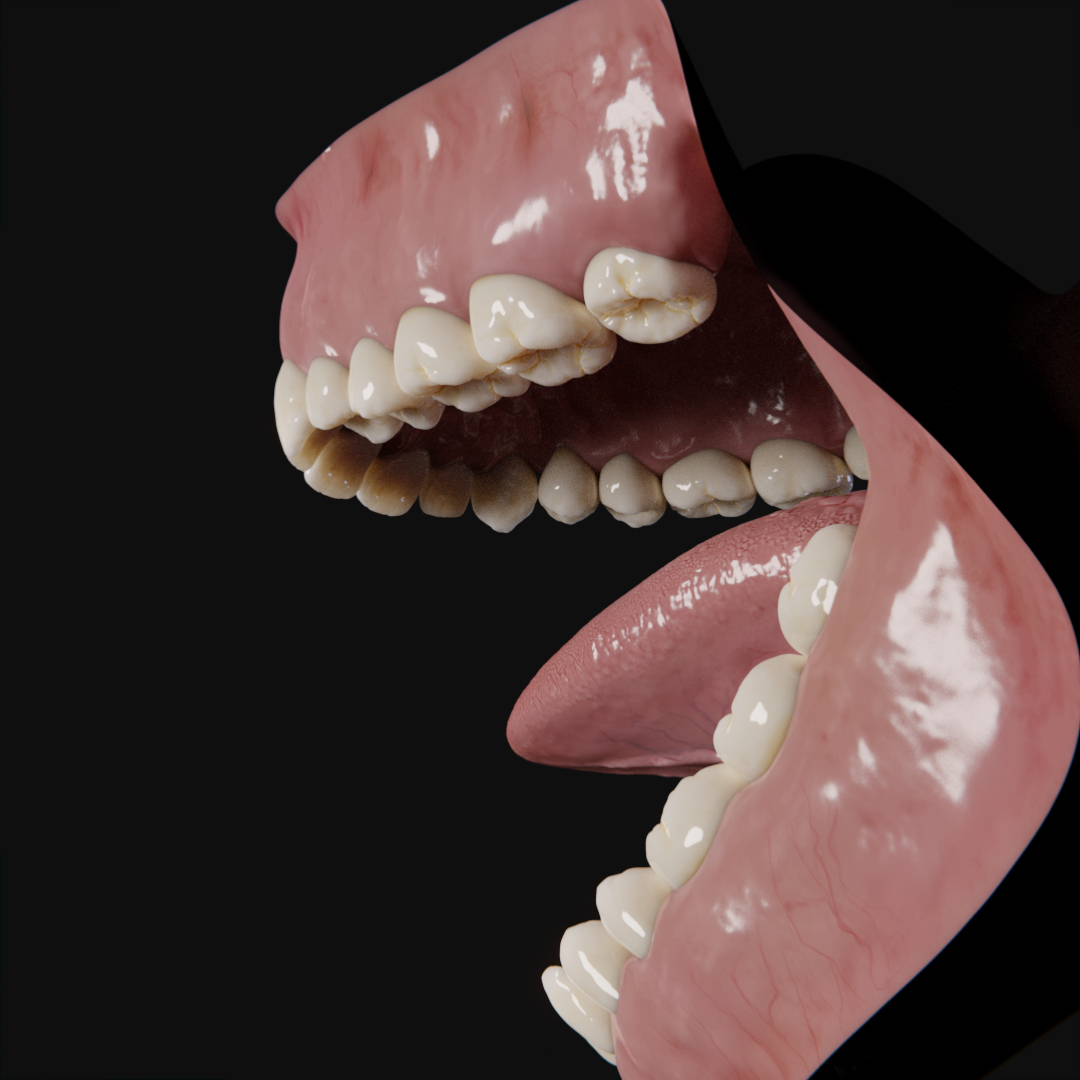 3D human mouth teeth model - TurboSquid 1278134