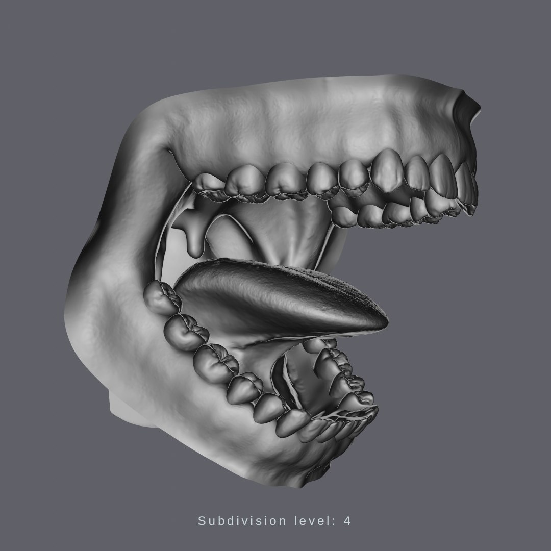 3D human mouth teeth model - TurboSquid 1278134