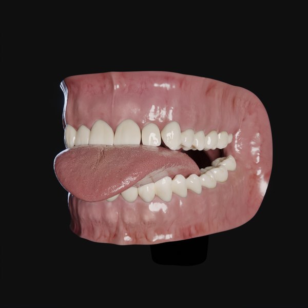3D human mouth teeth model - TurboSquid 1278134