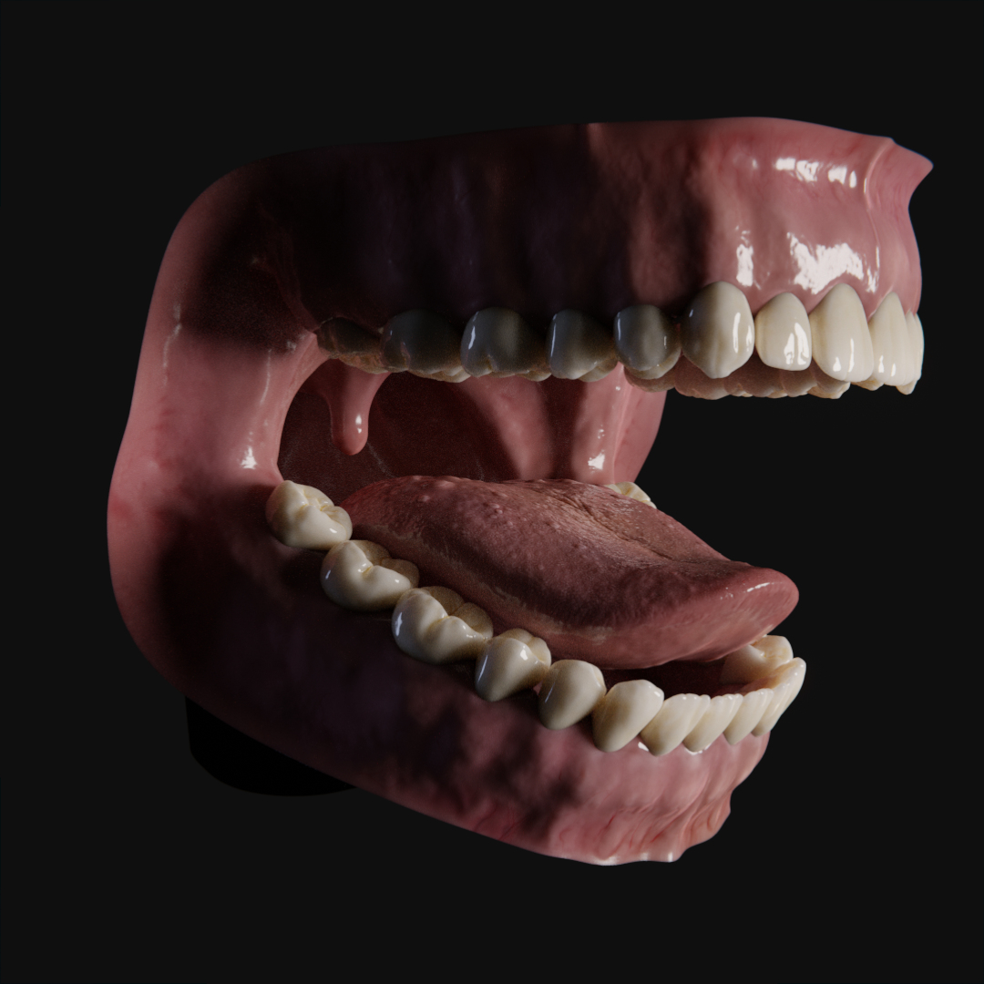 3D human mouth teeth model - TurboSquid 1278134