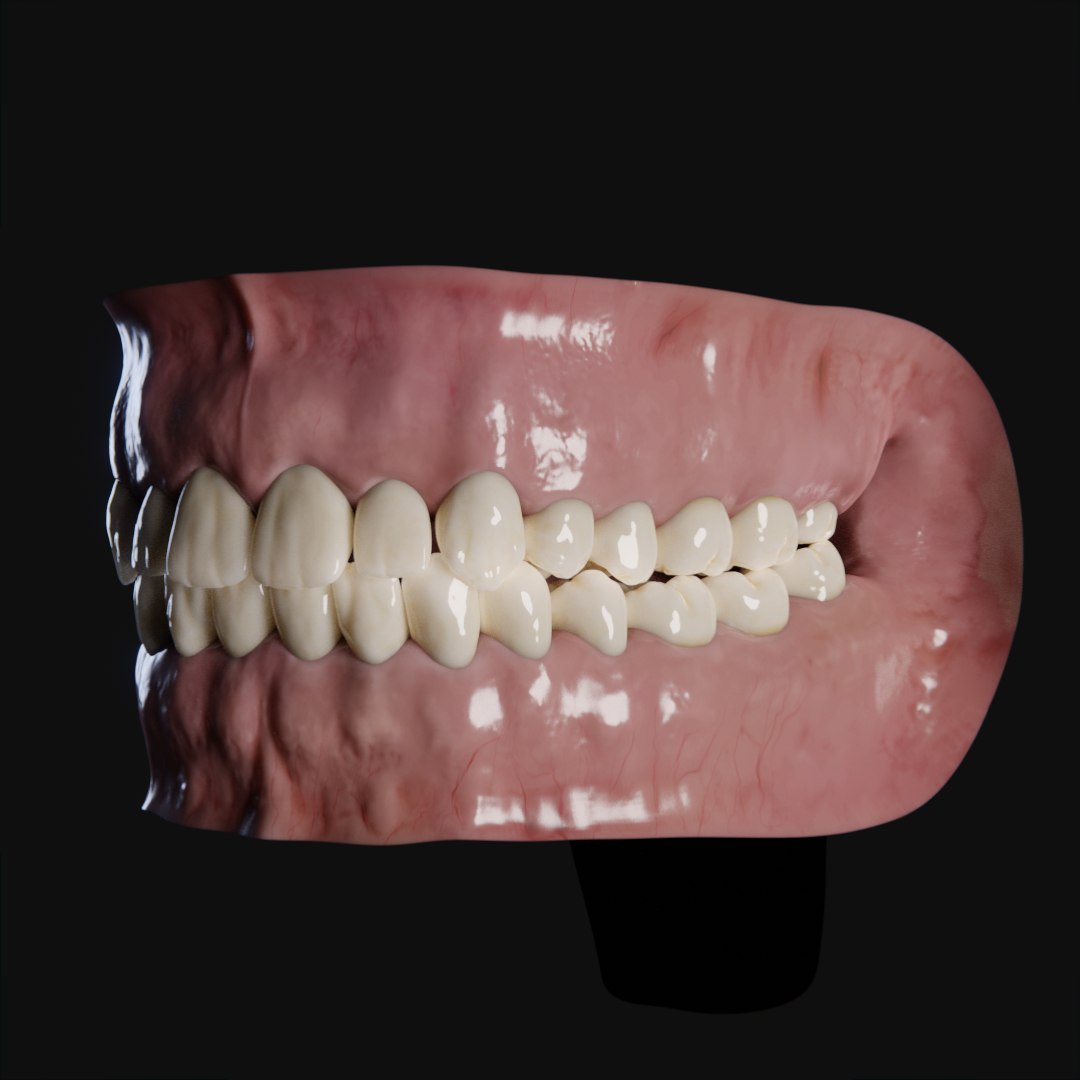 3D human mouth teeth model - TurboSquid 1278134