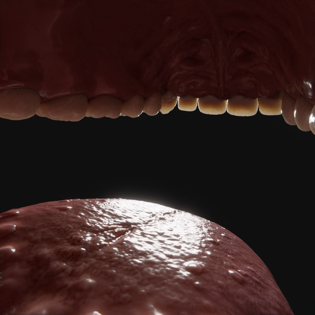 3D human mouth teeth model - TurboSquid 1278134