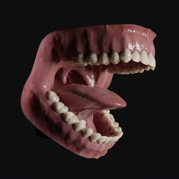 3D human mouth teeth model - TurboSquid 1278134