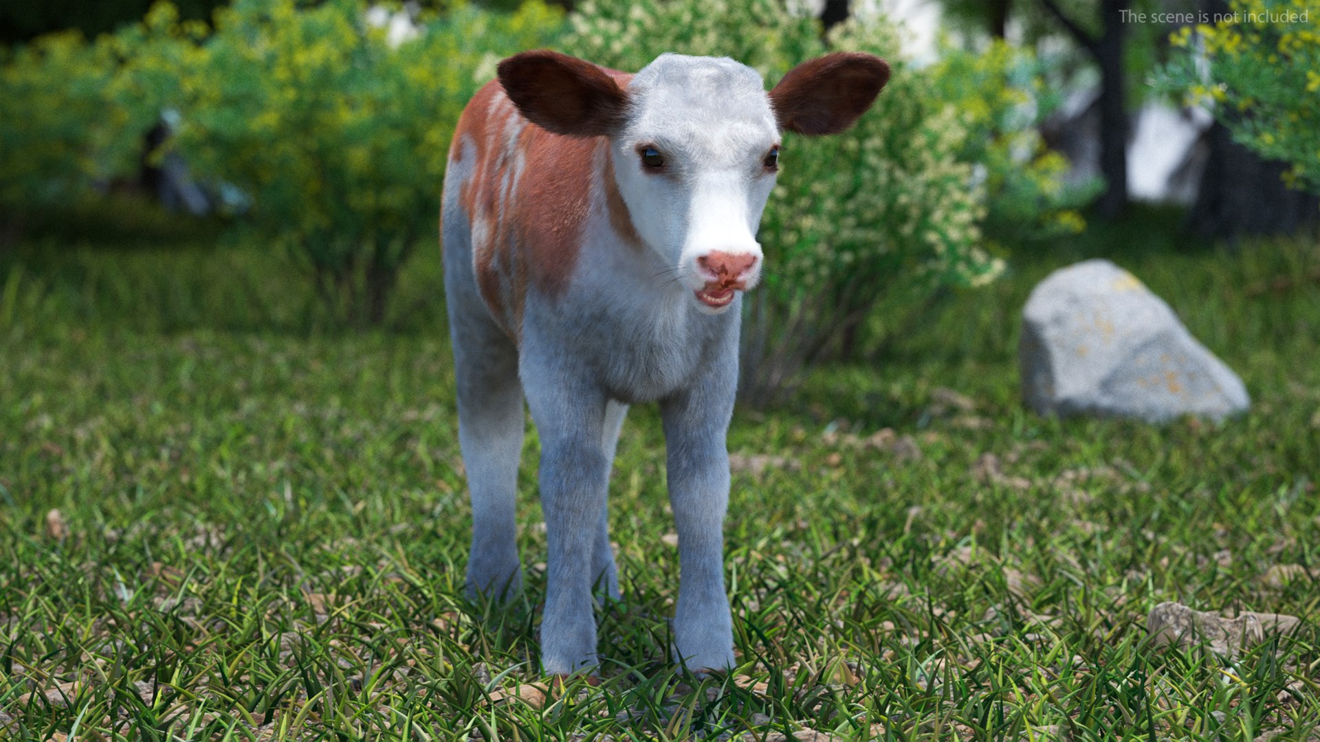 3D Cow Calf Fur Model - TurboSquid 2258183