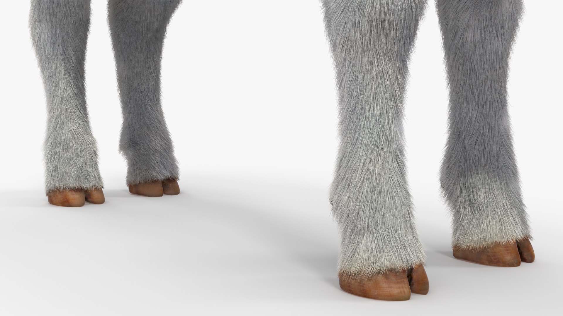 3D Cow Calf Fur Model - TurboSquid 2258183