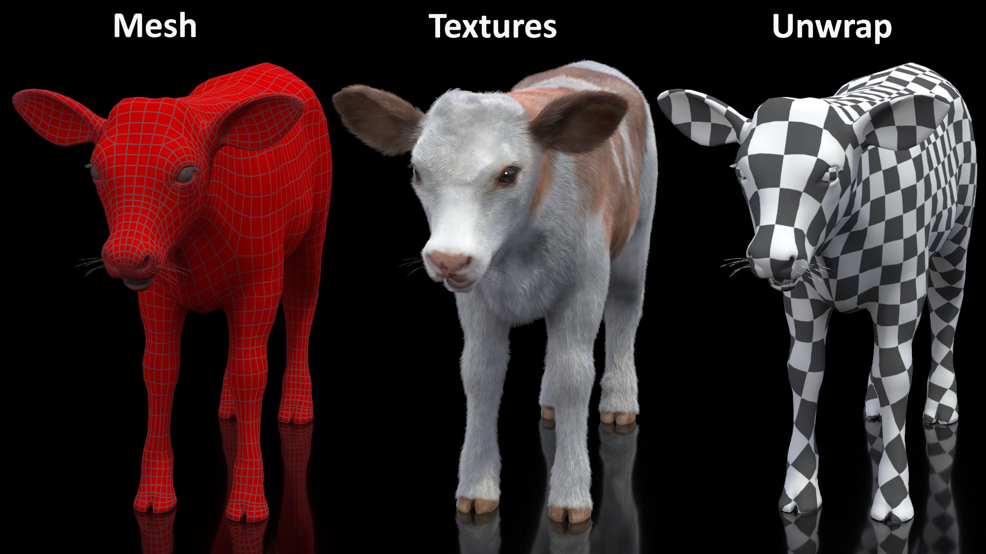 3D Cow Calf Fur Model - TurboSquid 2258183