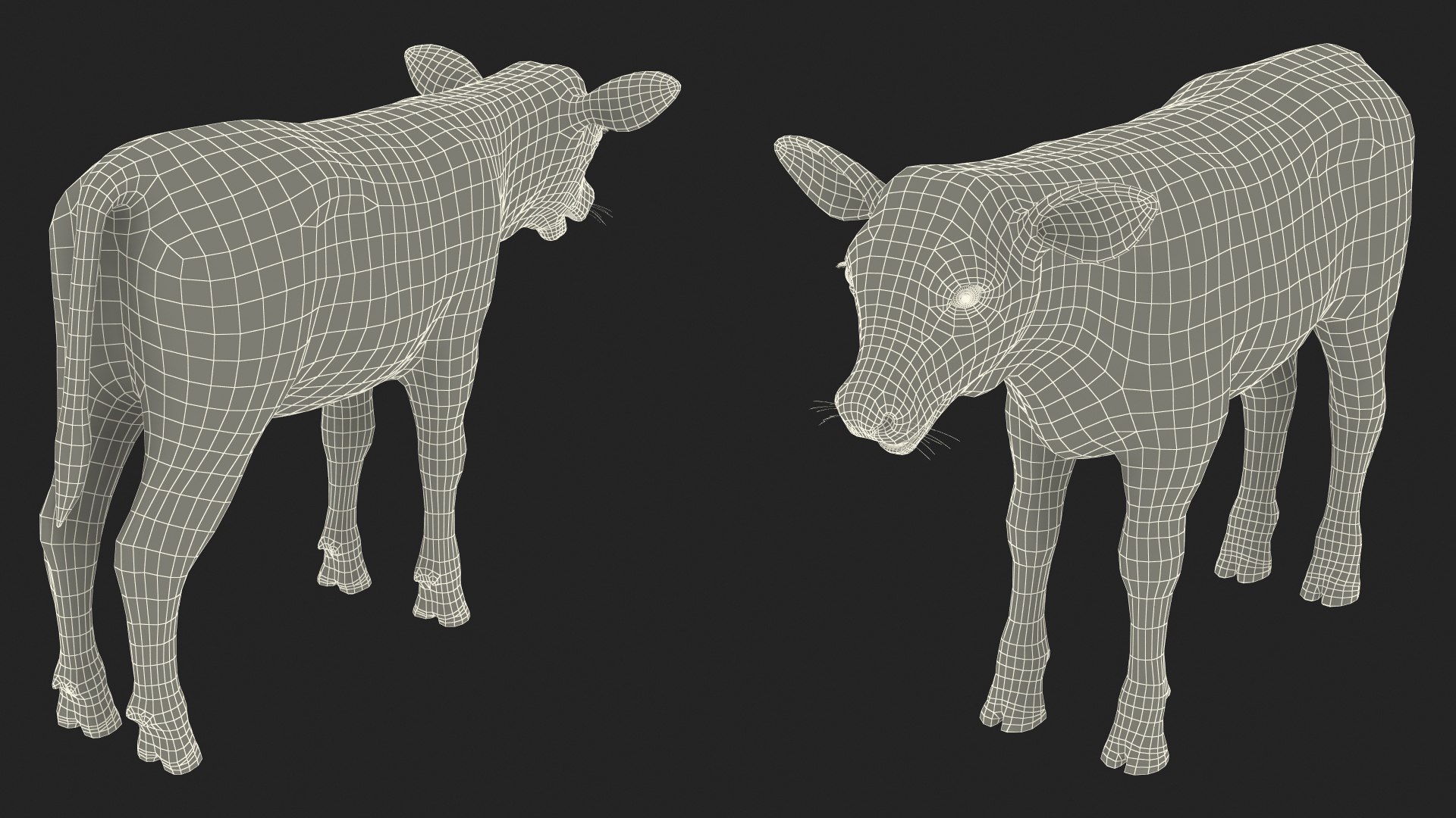 3D Cow Calf Fur Model - TurboSquid 2258183