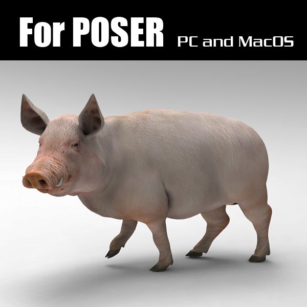 Animal Poser 3D Models for Download | TurboSquid